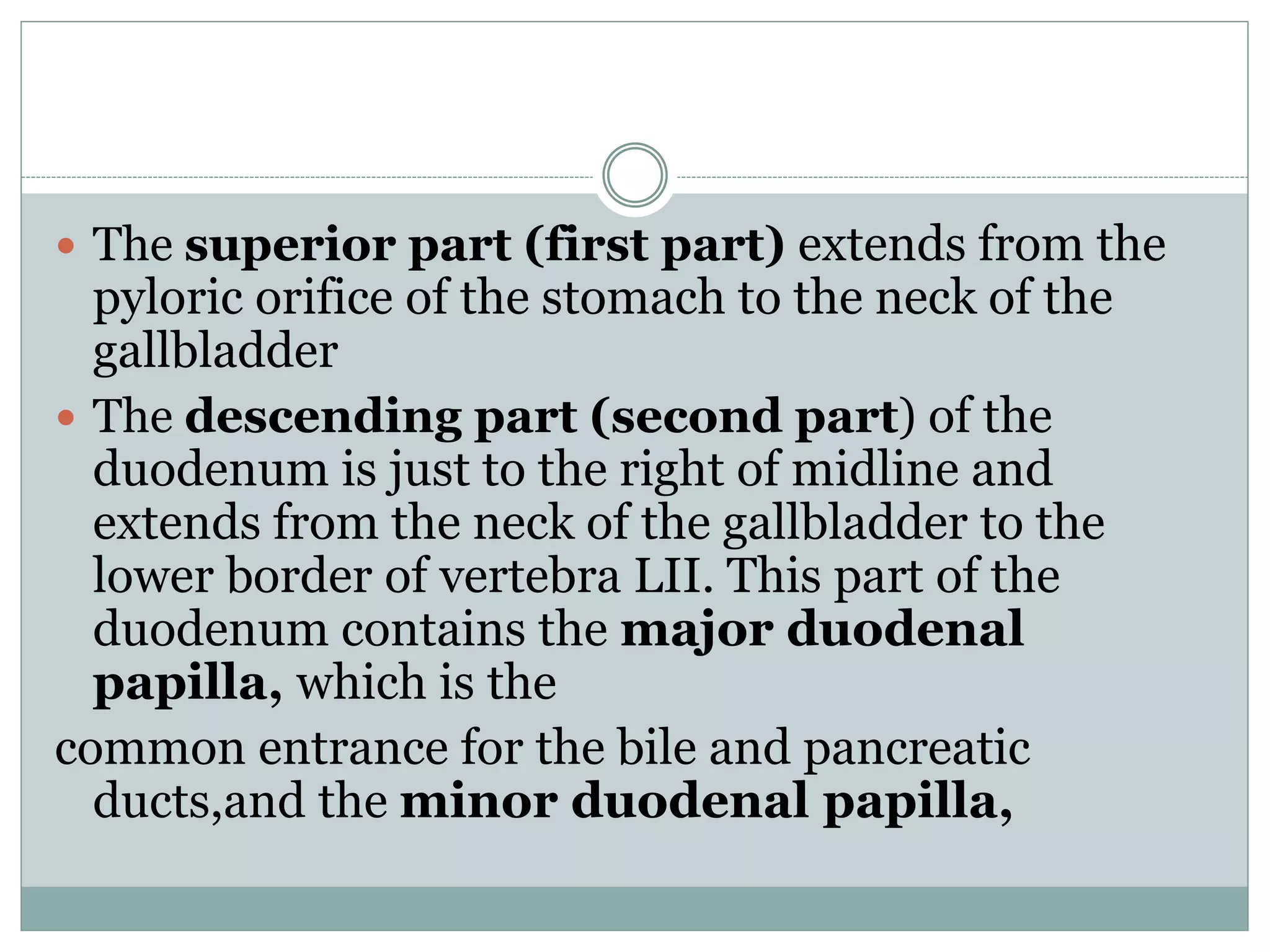 Anatomy of abdomen and regions of trunk | PPTX
