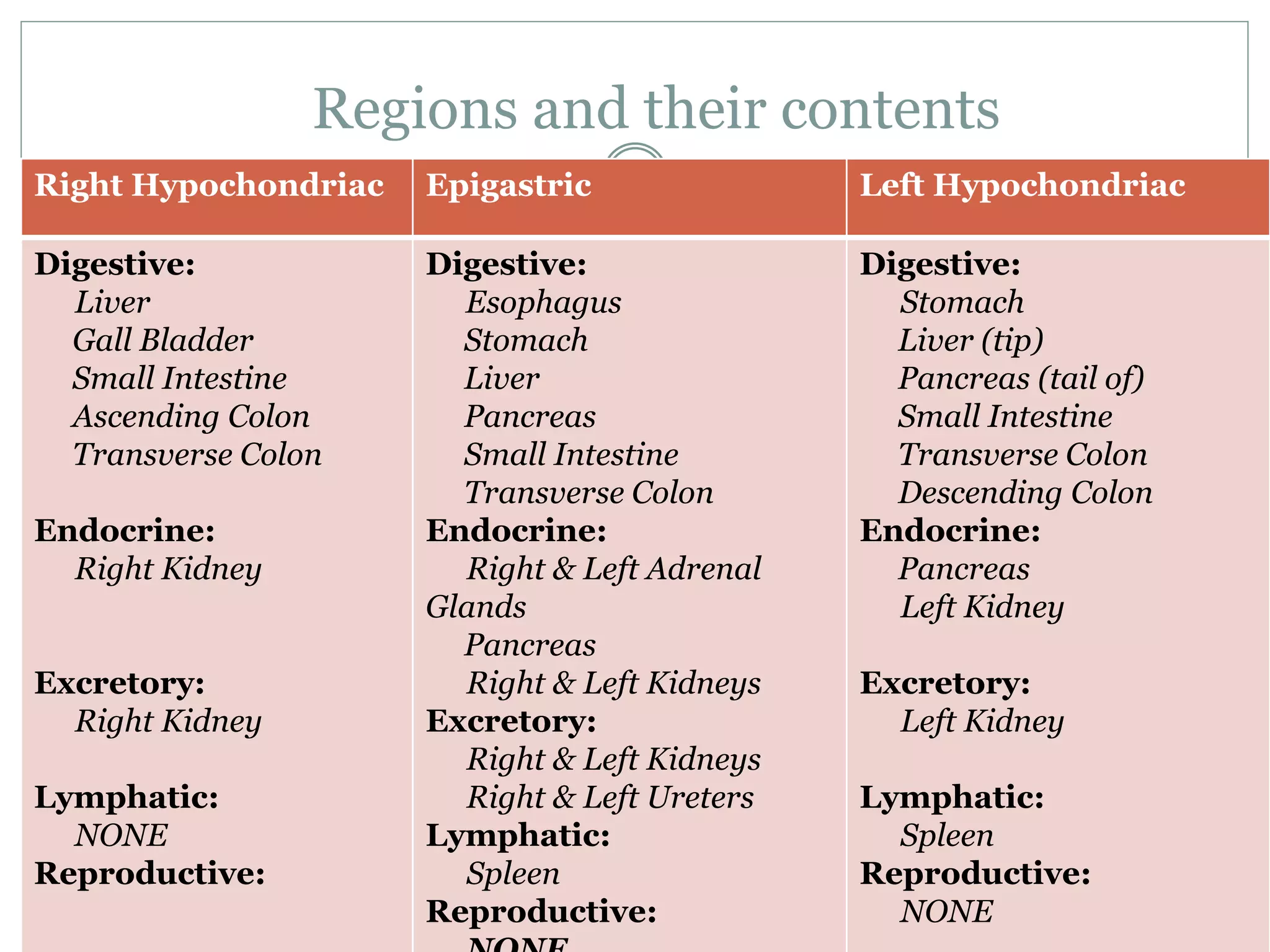 Anatomy of abdomen and regions of trunk | PPTX