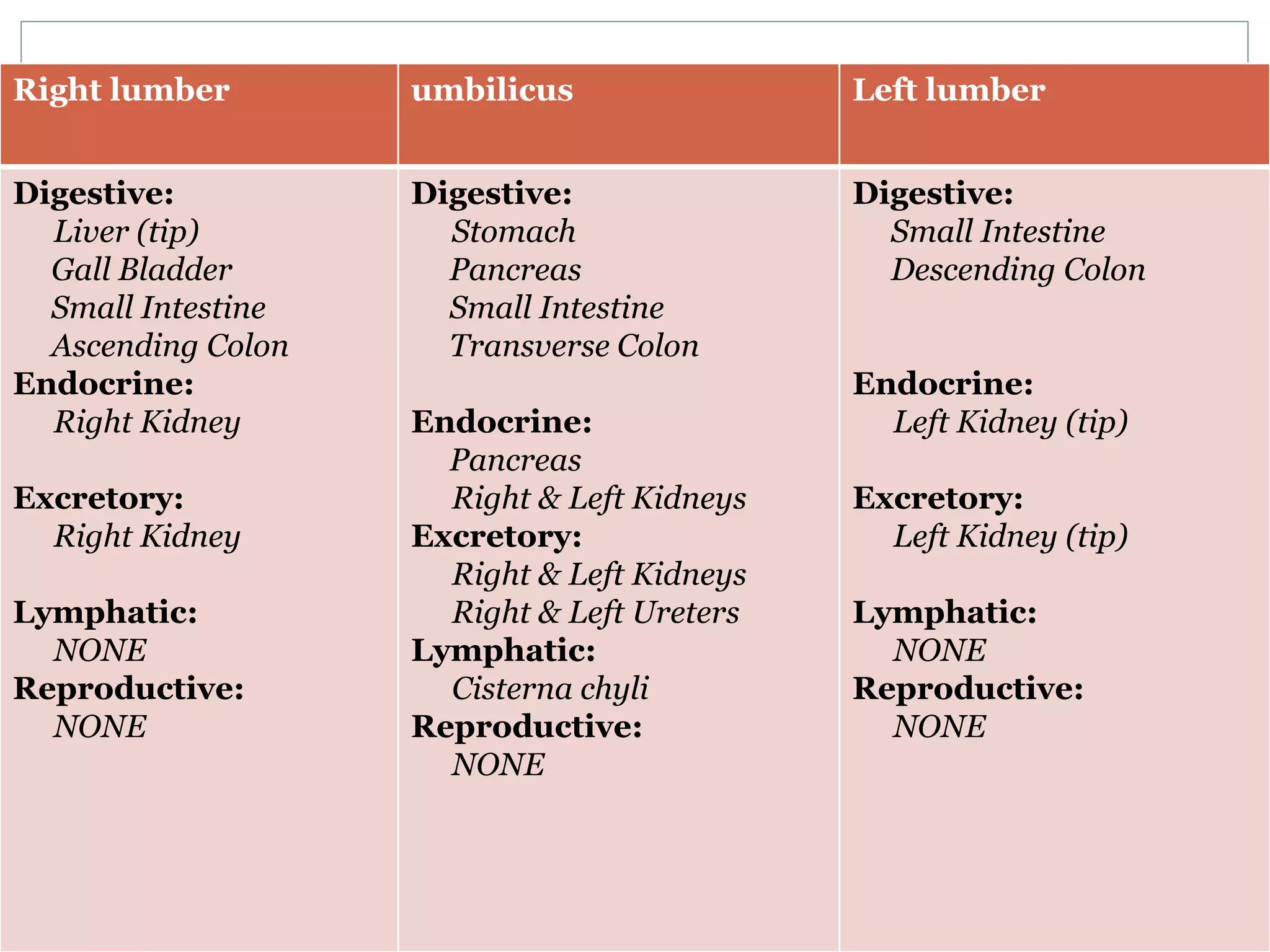 Anatomy of abdomen and regions of trunk | PPTX
