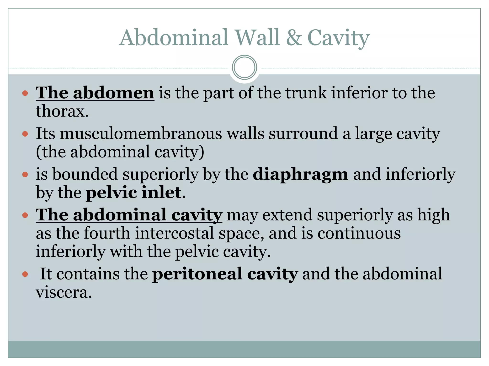 Anatomy of abdomen and regions of trunk | PPTX