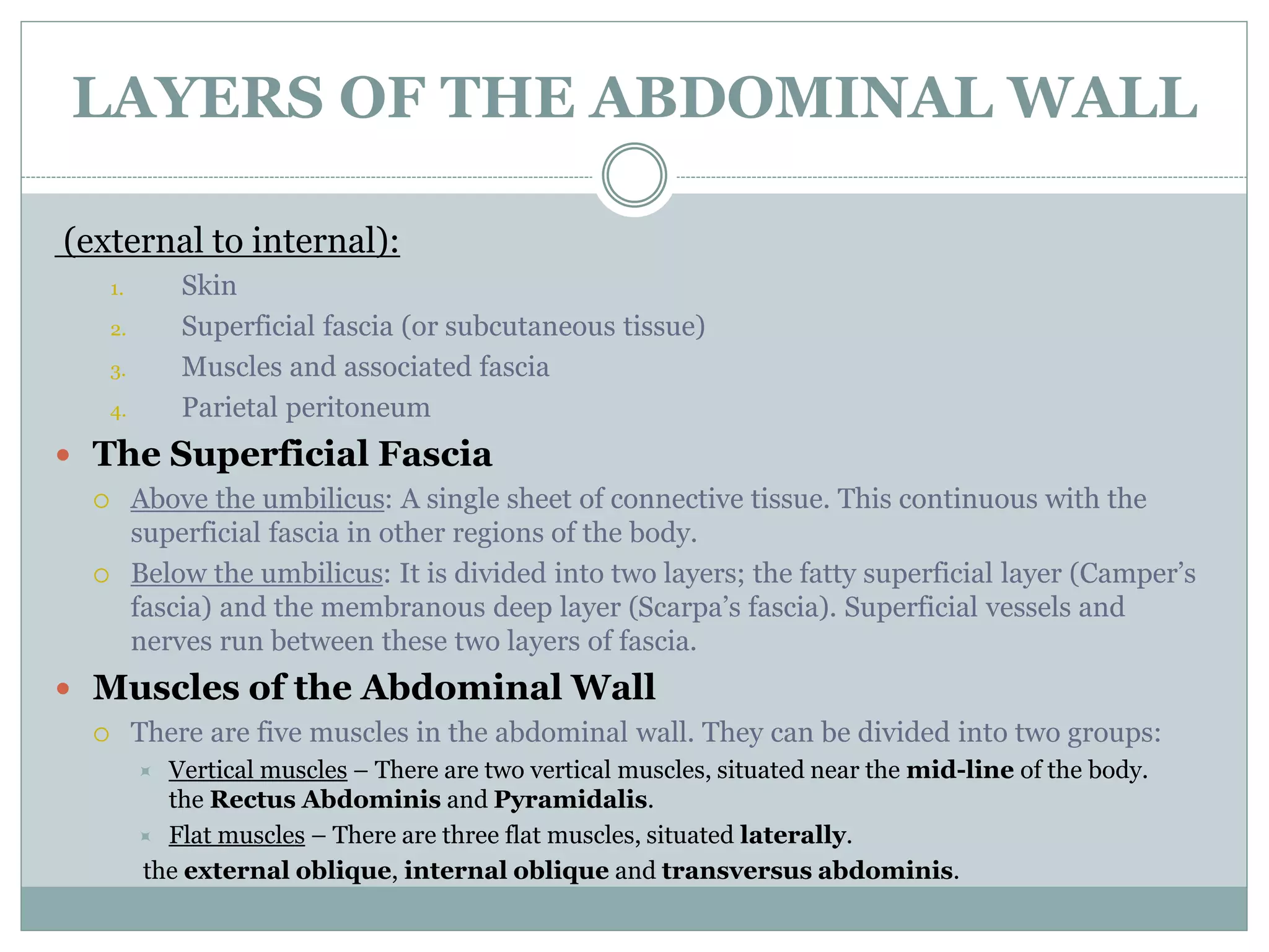 Anatomy of abdomen and regions of trunk | PPTX