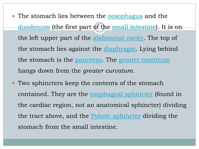 Anatomy of abdomen and regions of trunk | PPTX | Endocrine and ...