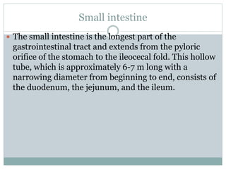 Anatomy of abdomen and regions of trunk | PPTX