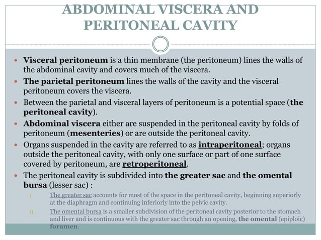 Anatomy of abdomen and regions of trunk | PPTX | Endocrine and ...