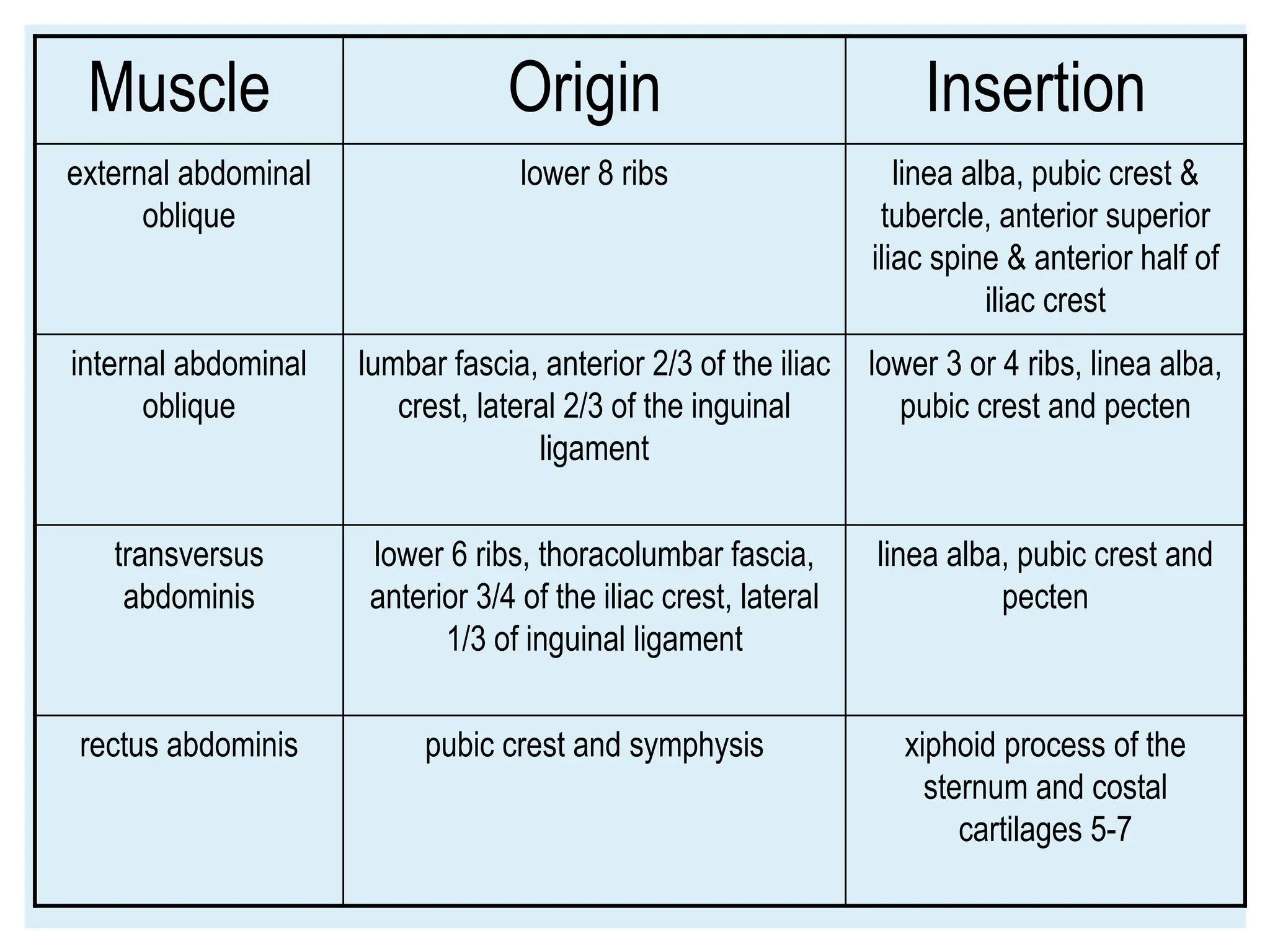 Anatomy of Abdominal Wall fffffffffffffff.pptx