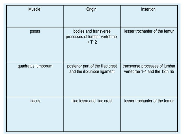 Anatomy of Abdominal Wall fffffffffffffff.pptx