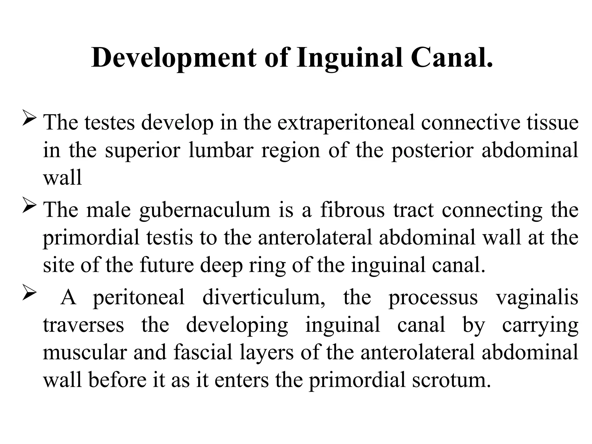 Anatomy of Abdominal wall and Inguinal Canal.pptx