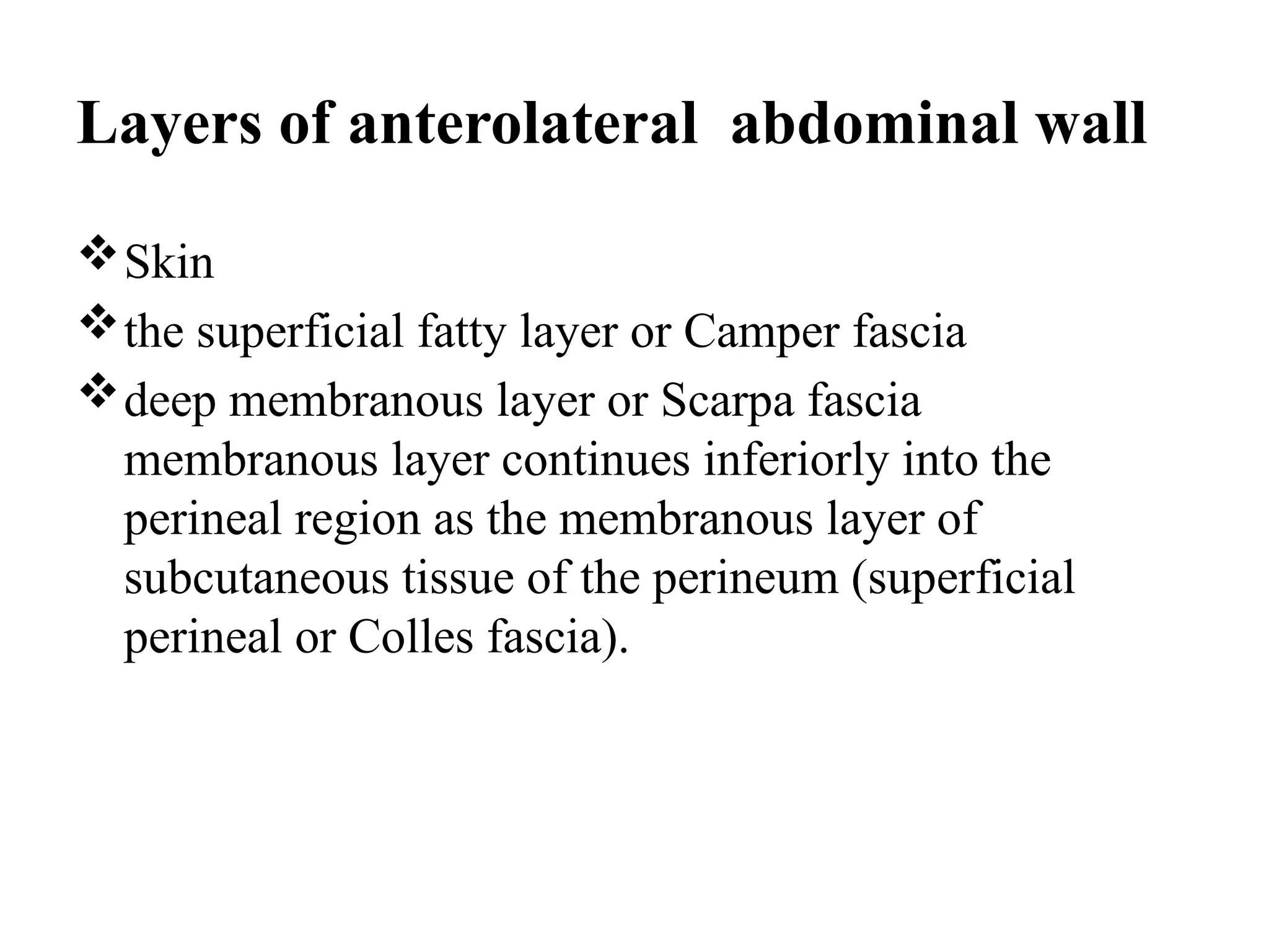 Anatomy of Abdominal wall and Inguinal Canal.pptx