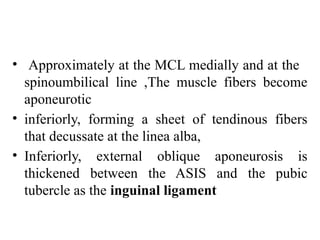 Anatomy of Abdominal wall and Inguinal Canal.pptx