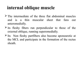Anatomy of Abdominal wall and Inguinal Canal.pptx
