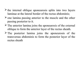 Anatomy of Abdominal wall and Inguinal Canal.pptx