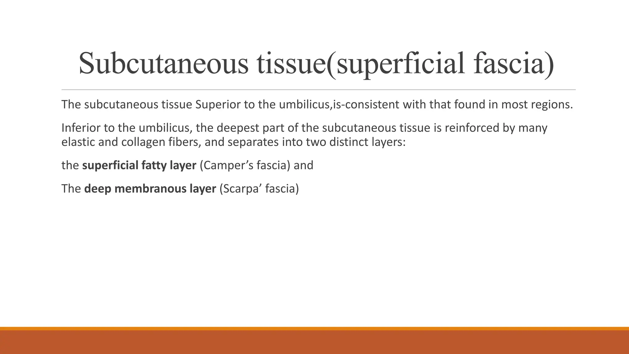 Anatomy of Abdominal wall and Inguinal region.pptx