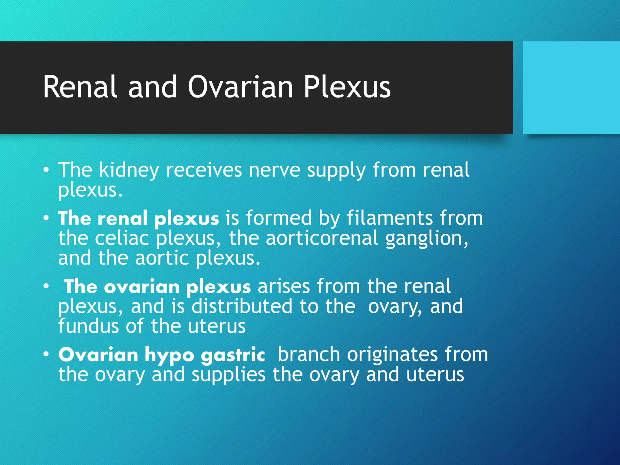 Anatomy of abdomina nerves | PPTX