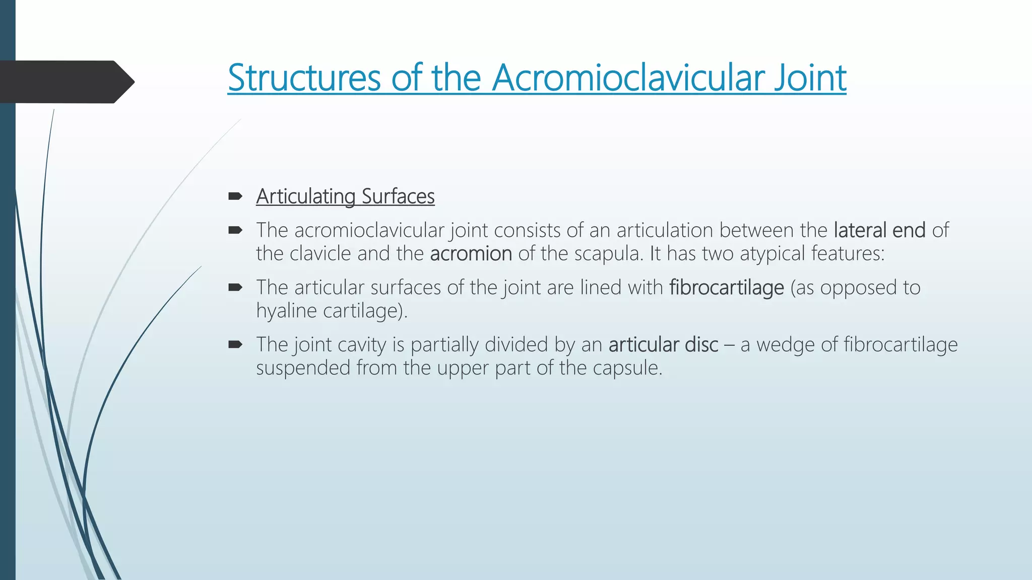 Anatomy of acromioclavicular joint | PPTX
