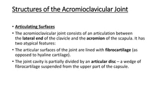 anatomyofacromioclavicularjoint-171228182731 (2).pptx