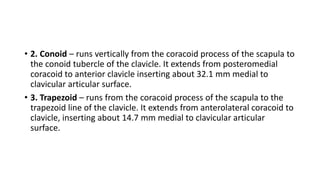 anatomyofacromioclavicularjoint-171228182731 (2).pptx