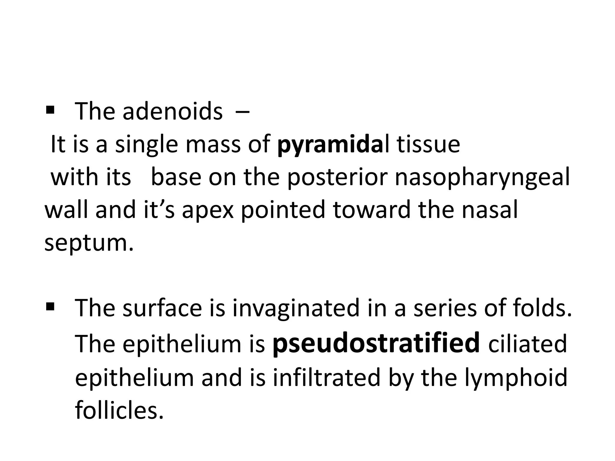 Anatomy of adenoid | PPTX