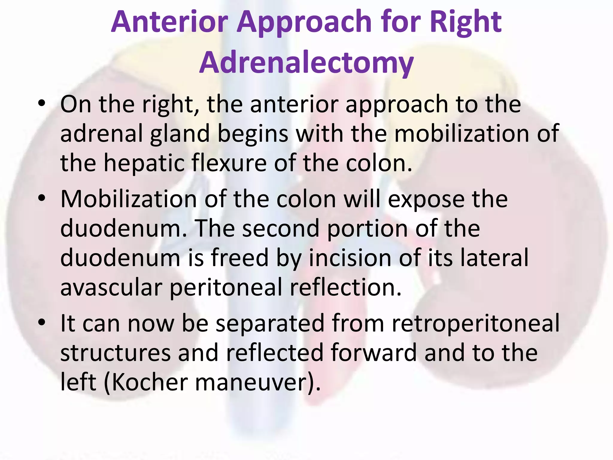 Surgical Anatomy of adrenal gland | PPTX