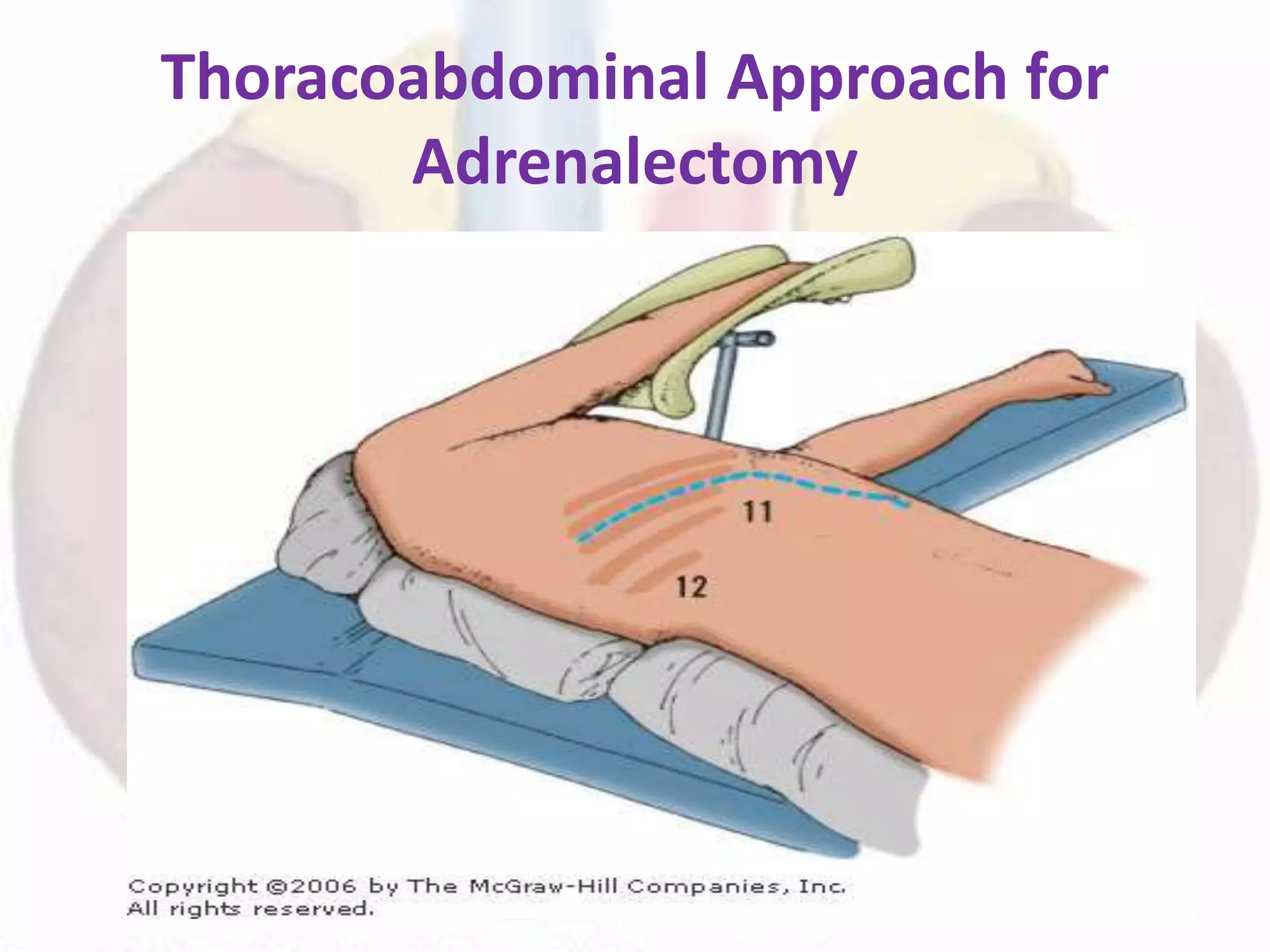 Surgical Anatomy of adrenal gland | PPTX