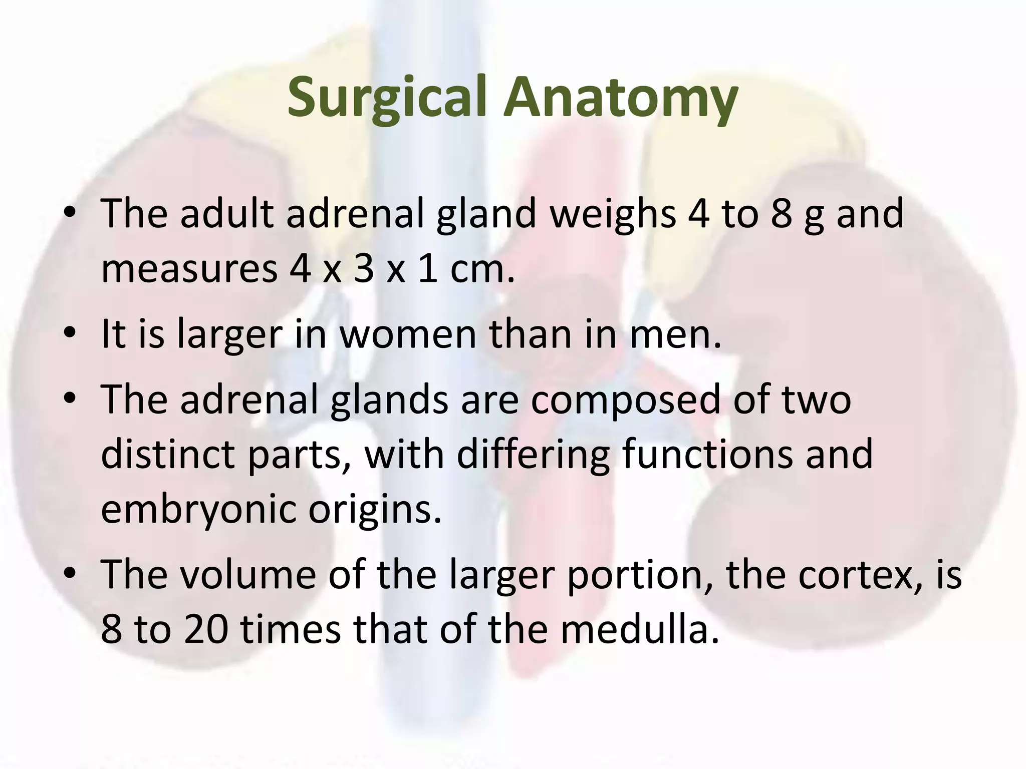Surgical Anatomy of adrenal gland | PPTX