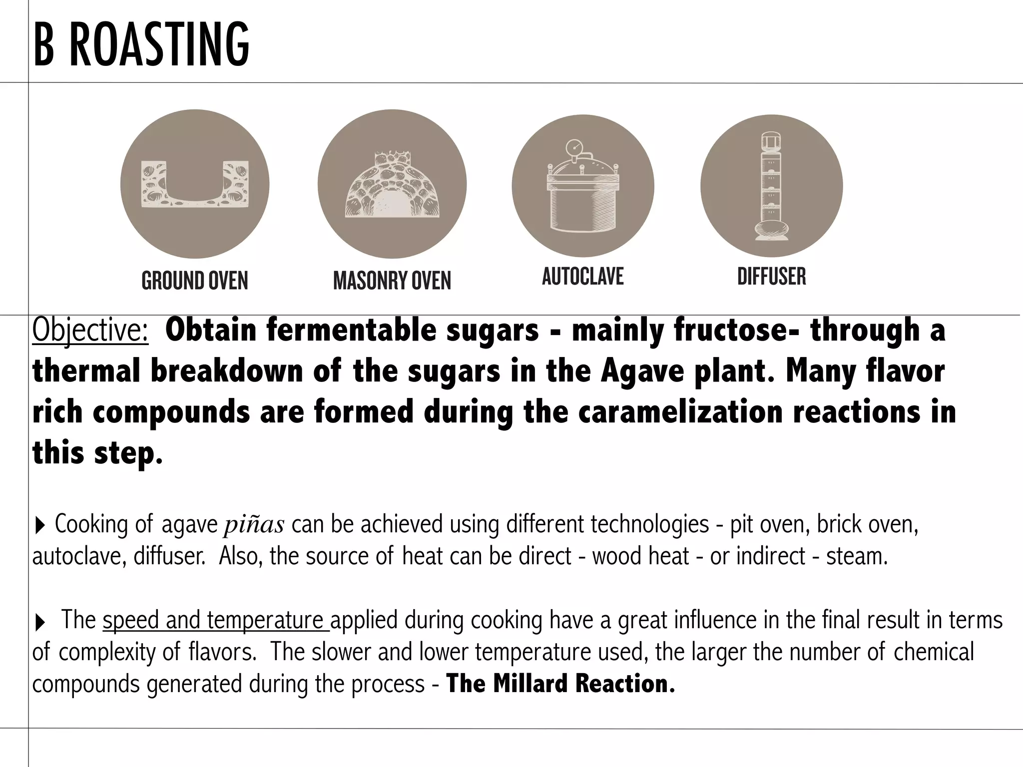 Anatomy of Agave-Seductive Succulent Presentation | PDF