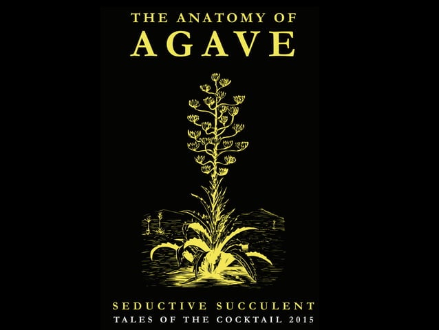 Anatomy of Agave-Seductive Succulent Presentation | PPT