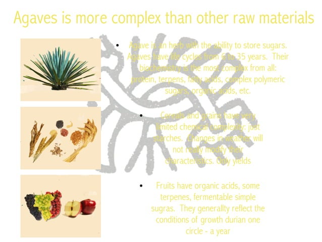 Anatomy of Agave-Seductive Succulent Presentation | PPT
