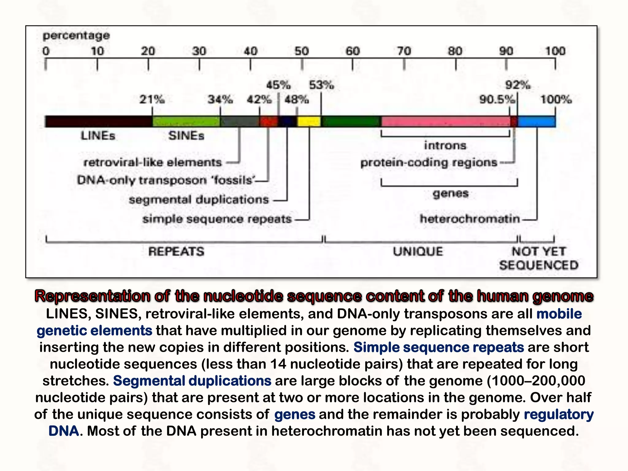 Anatomy of a gene | PPTX