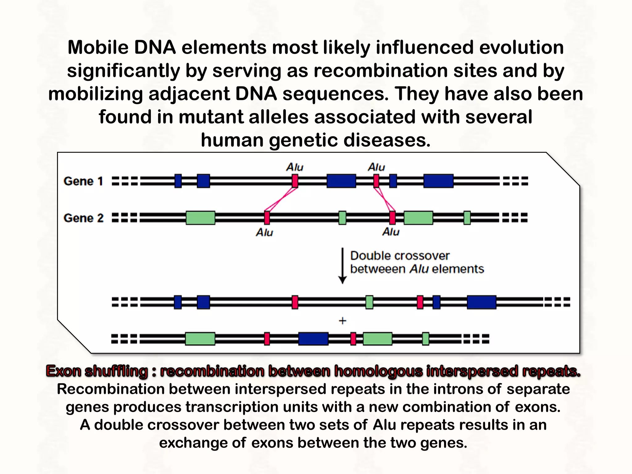 Anatomy of a gene | PPTX