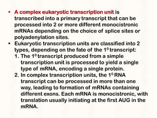 Anatomy of a gene | PPTX