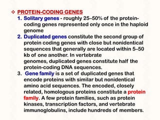 Anatomy of a gene | PPTX