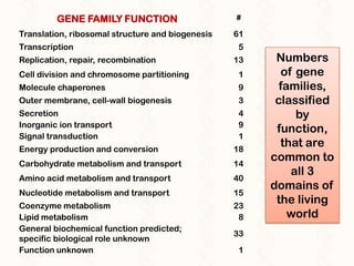 Anatomy of a gene | PPTX
