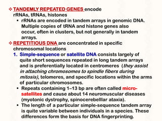 Anatomy of a gene | PPTX