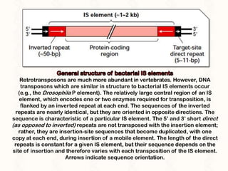 Anatomy of a gene | PPTX