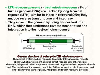 Anatomy of a gene | PPTX