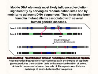 Anatomy of a gene | PPT
