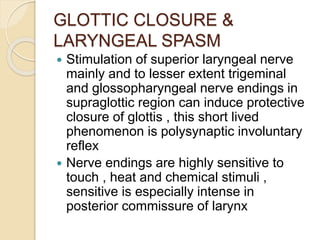 Anatomy of airway | PPTX