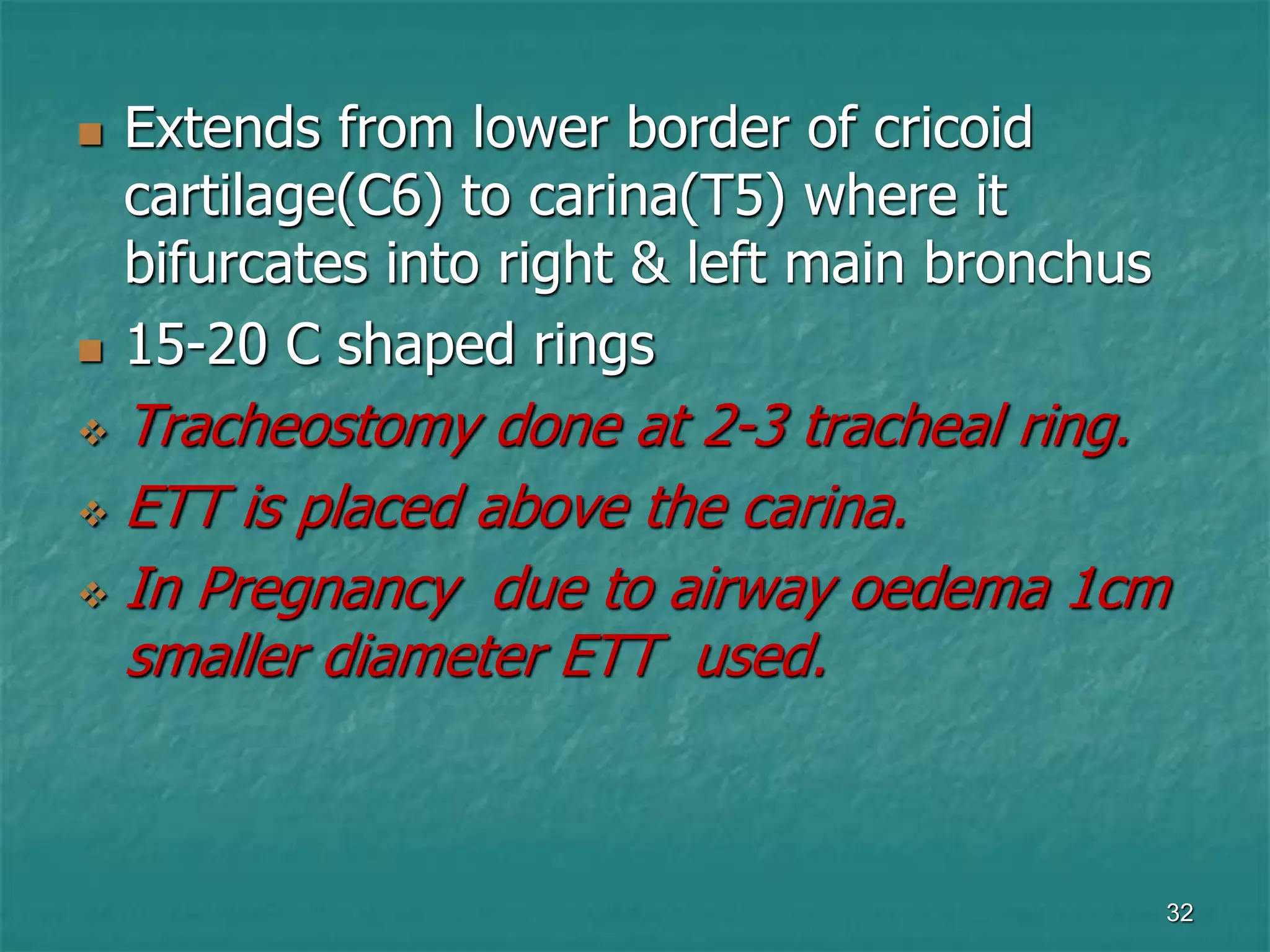 Anatomy of Airway adults versus paediatrics.ppt
