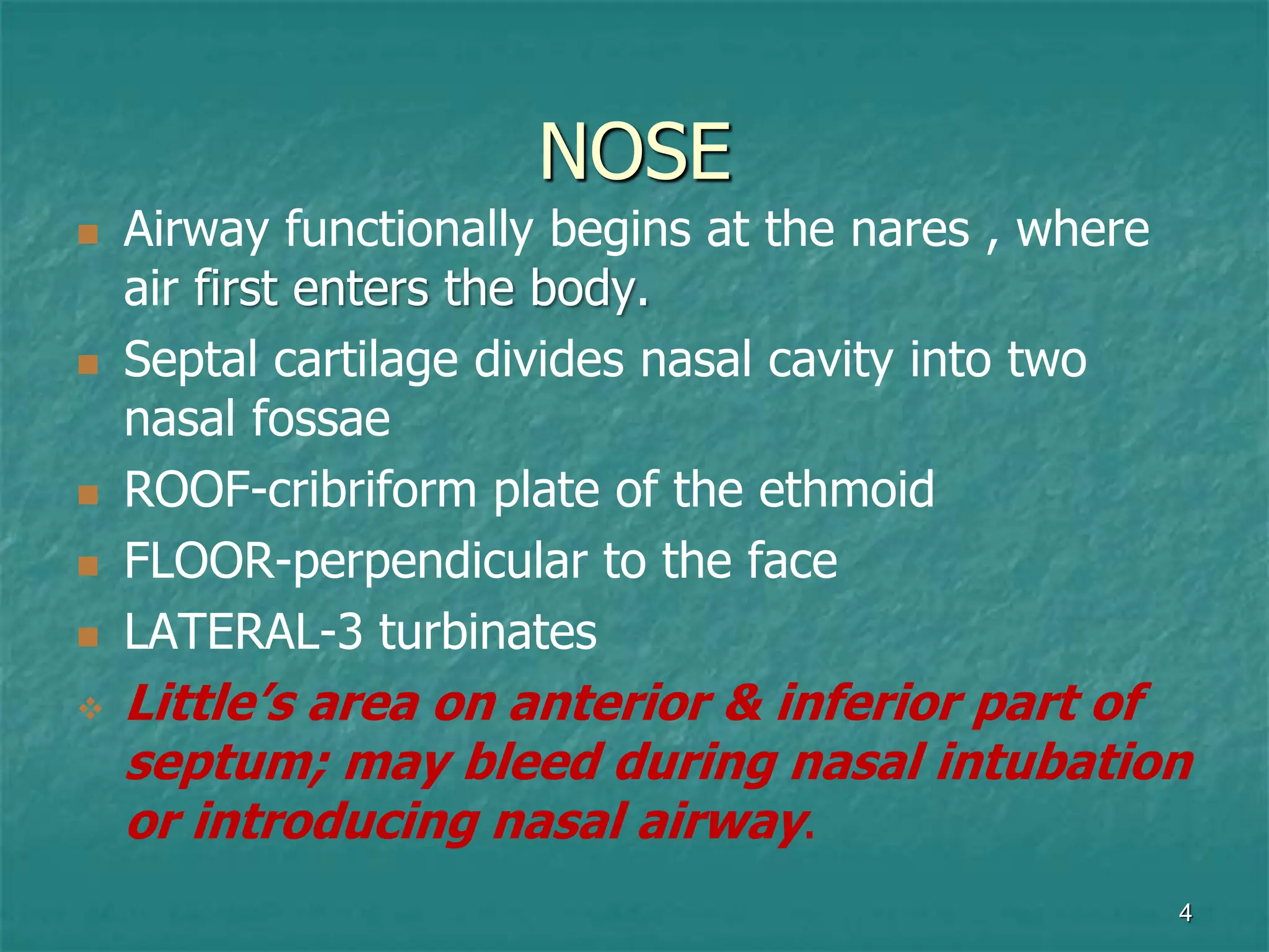 Anatomy of Airway adults versus paediatrics.ppt