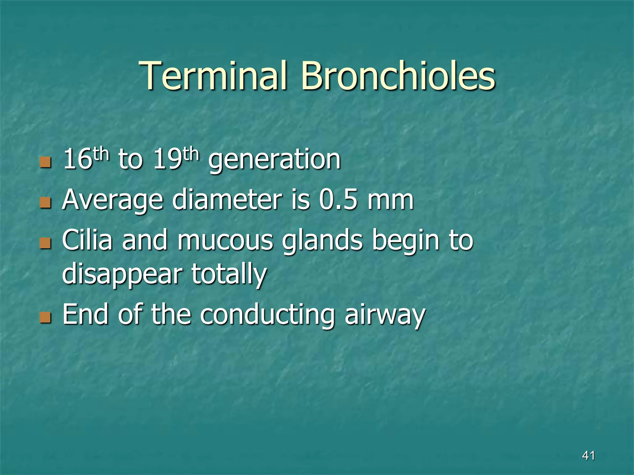 Anatomy of Airway adults versus paediatrics.ppt