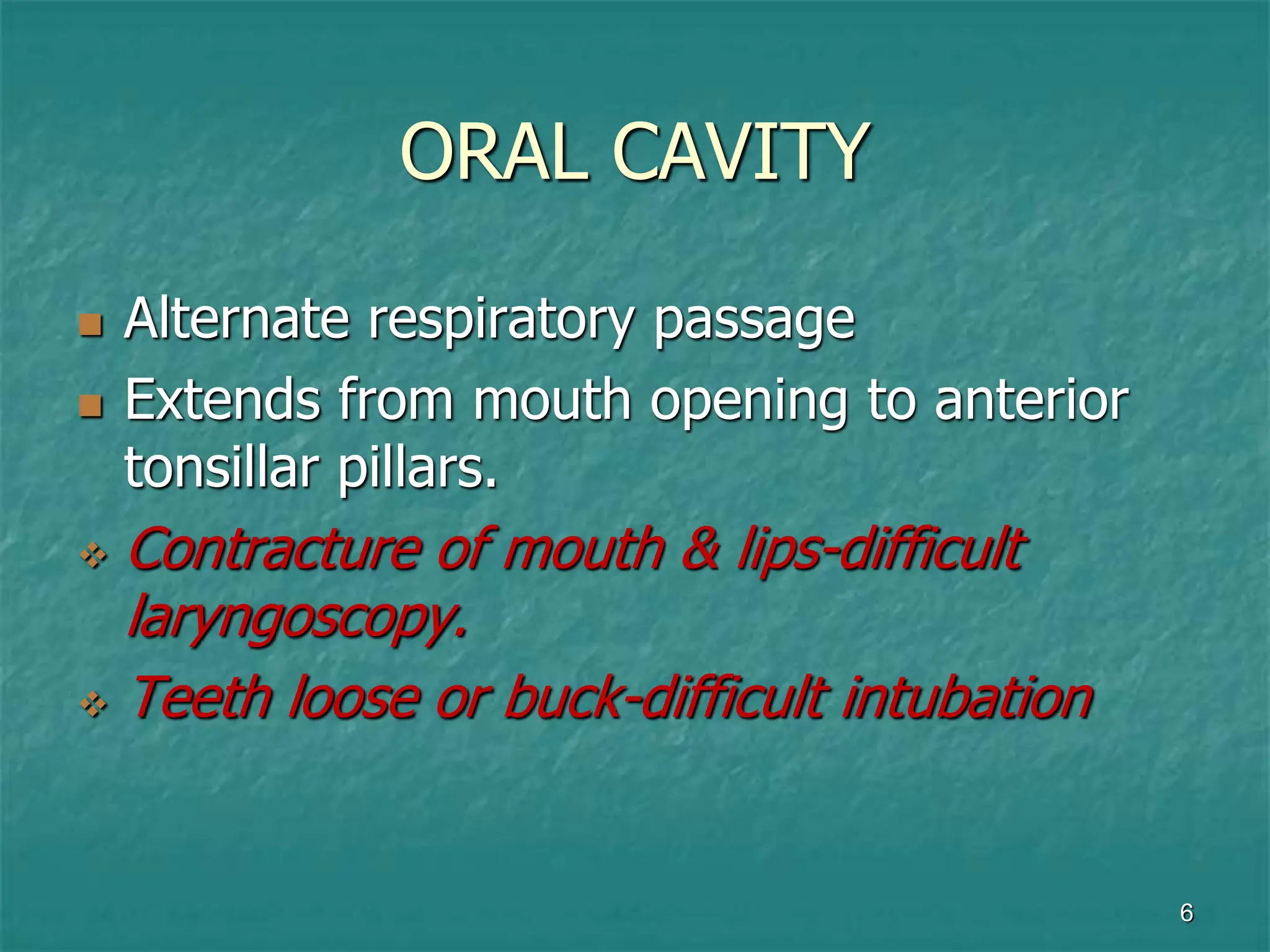 Anatomy of Airway adults versus paediatrics.ppt