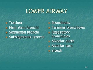 Anatomy of Airway adults versus paediatrics.ppt