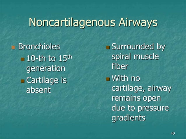 Anatomy of Airway adults versus paediatrics.ppt | Ear, Nose and Throat ...