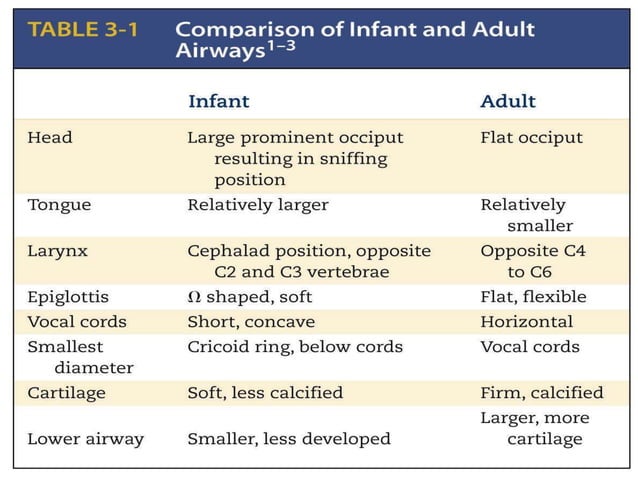 Anatomy of Airway adults versus paediatrics.ppt | Ear, Nose and Throat Conditions | Diseases and ...