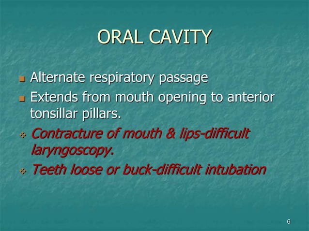 Anatomy of Airway adults versus paediatrics.ppt | Ear, Nose and Throat ...