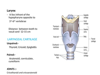 ANATOMY OF AIRWAY anesthesia, imortant.pptx