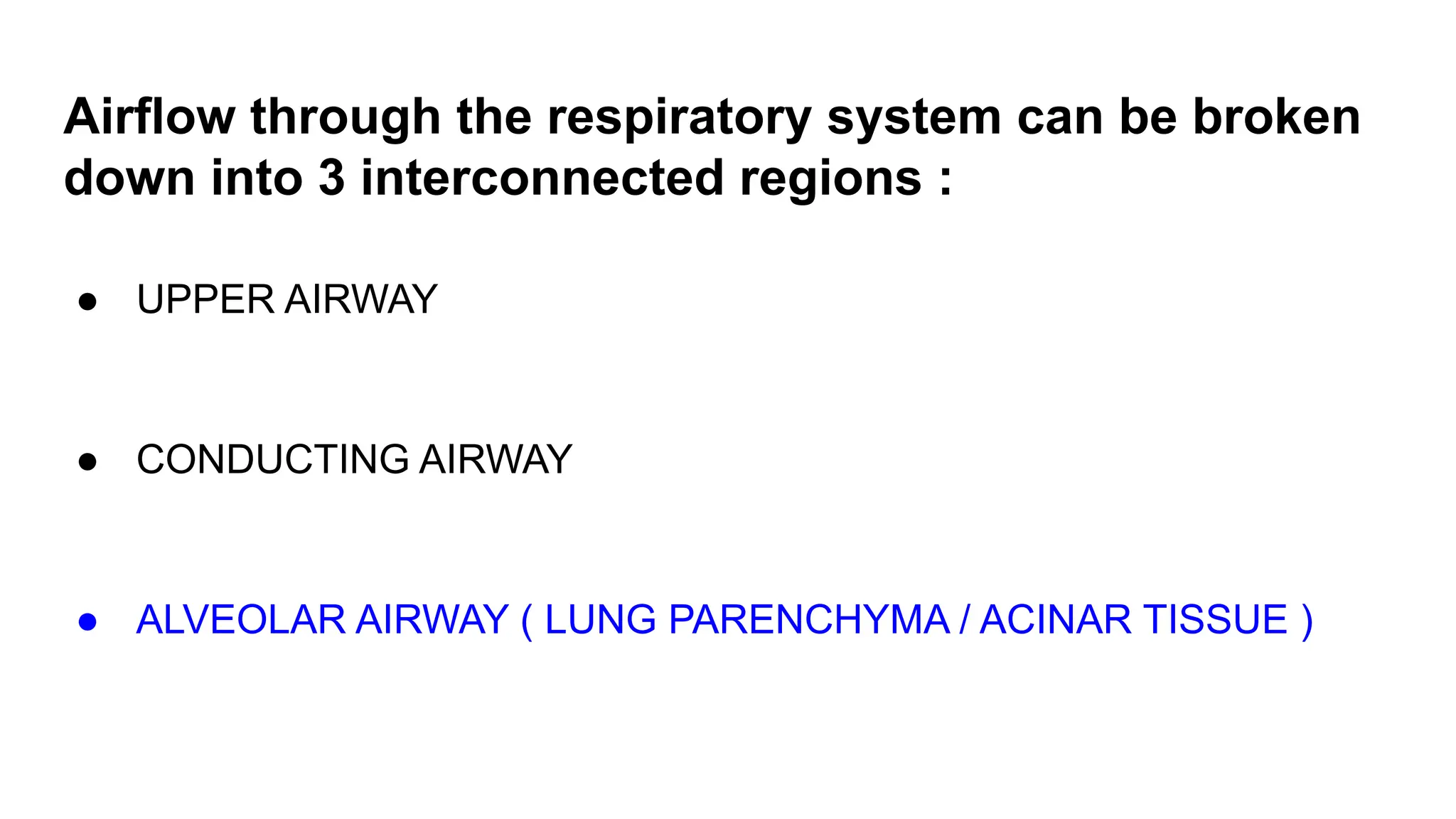 ANATOMY OF AIRWAYS - Important Points.pdf