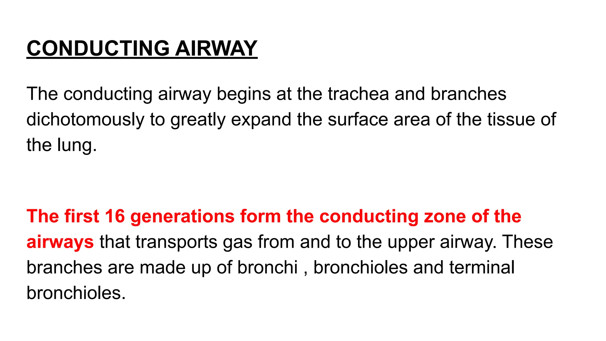 ANATOMY OF AIRWAYS - Important Points.pdf