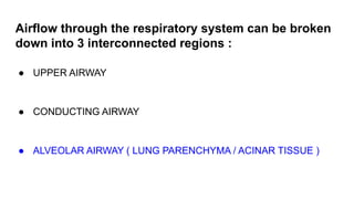 ANATOMY OF AIRWAYS - Important Points.pdf