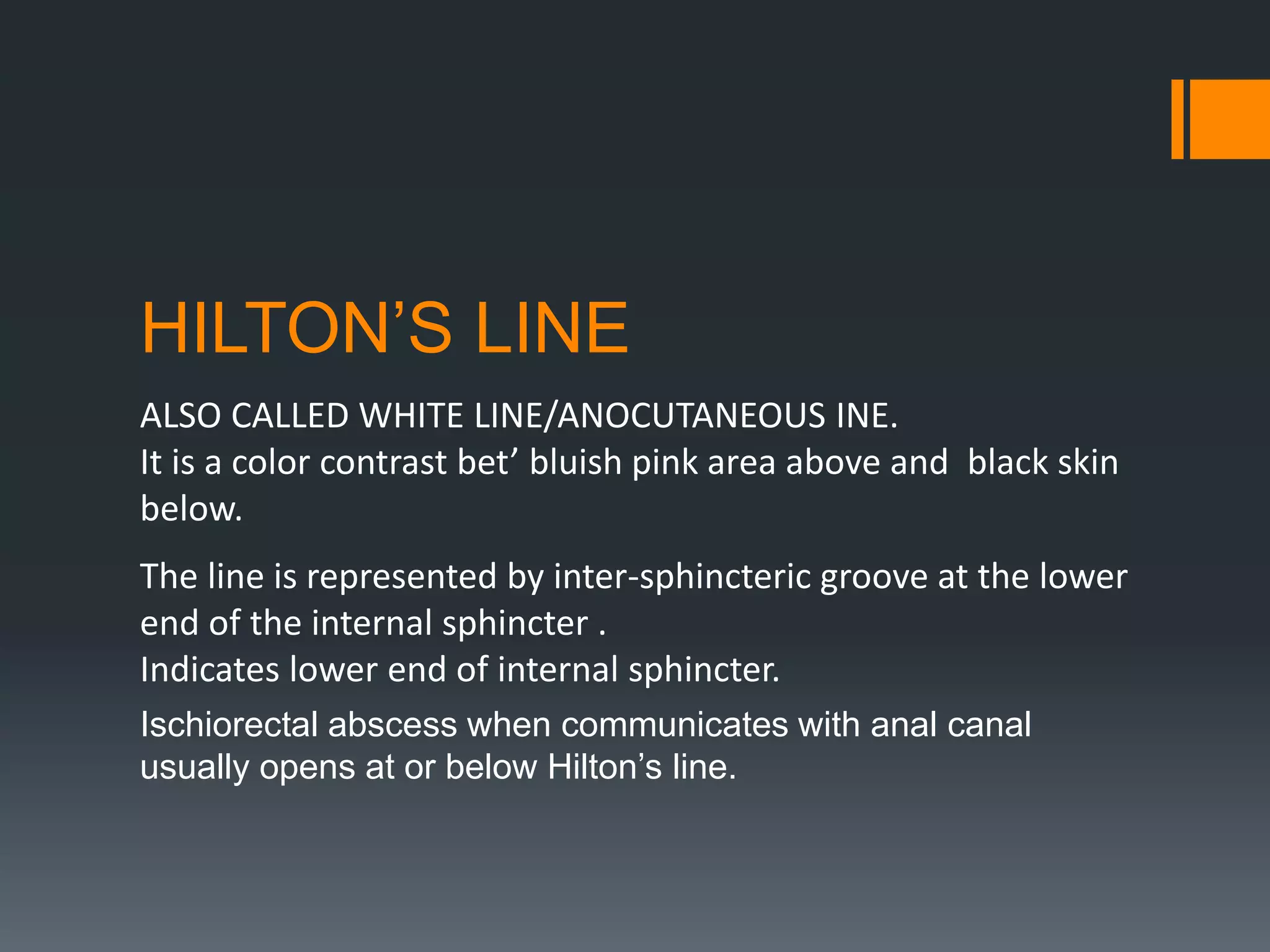 Anatomy of anal canal | PPTX